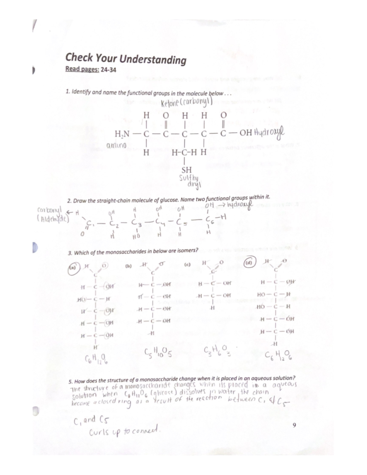SBI 4U1 - independent assignment - BIOL1010U - Studocu