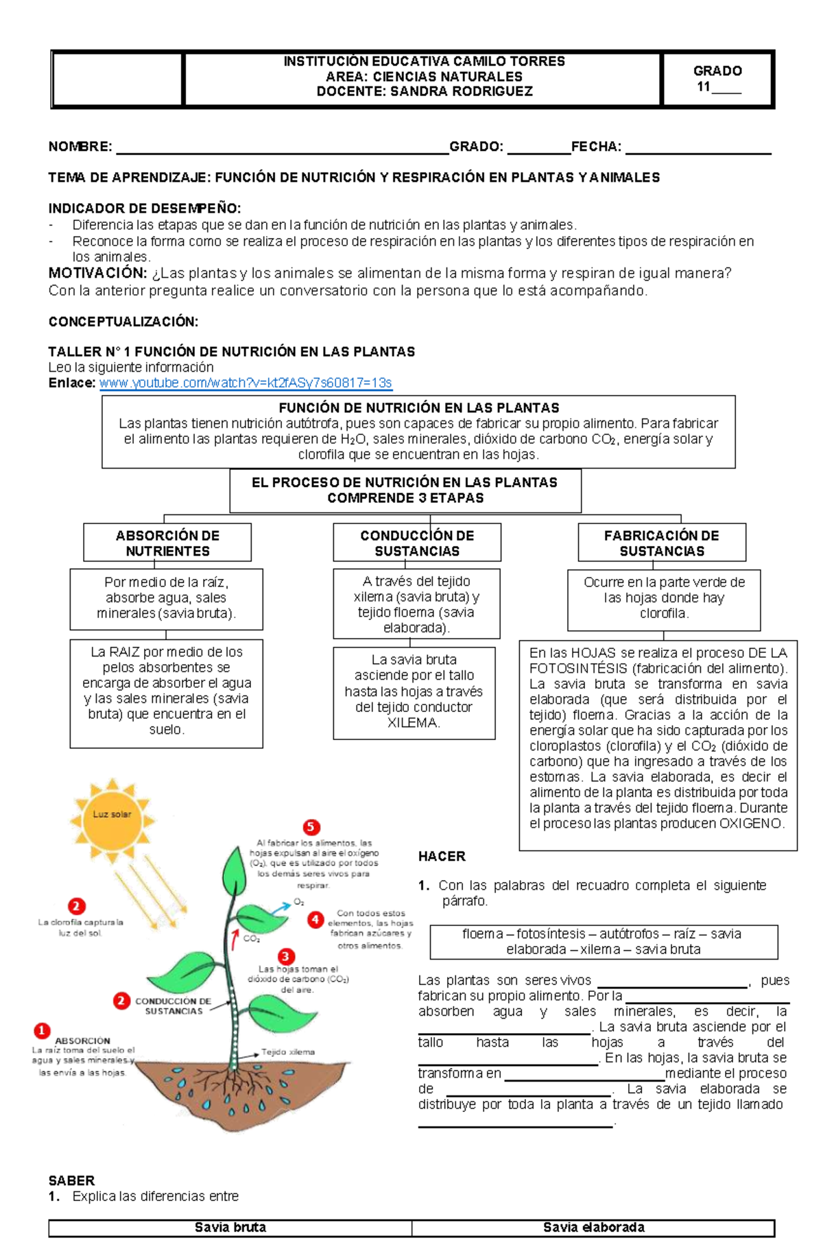 Nutriciã N Planta+ Animales Grado DÃ CIMO - floema – fotosíntesis ...