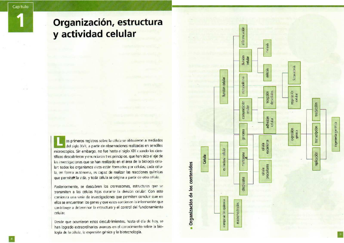Celula -pro y eu - jbjn - Biología General Y Celular - Studocu
