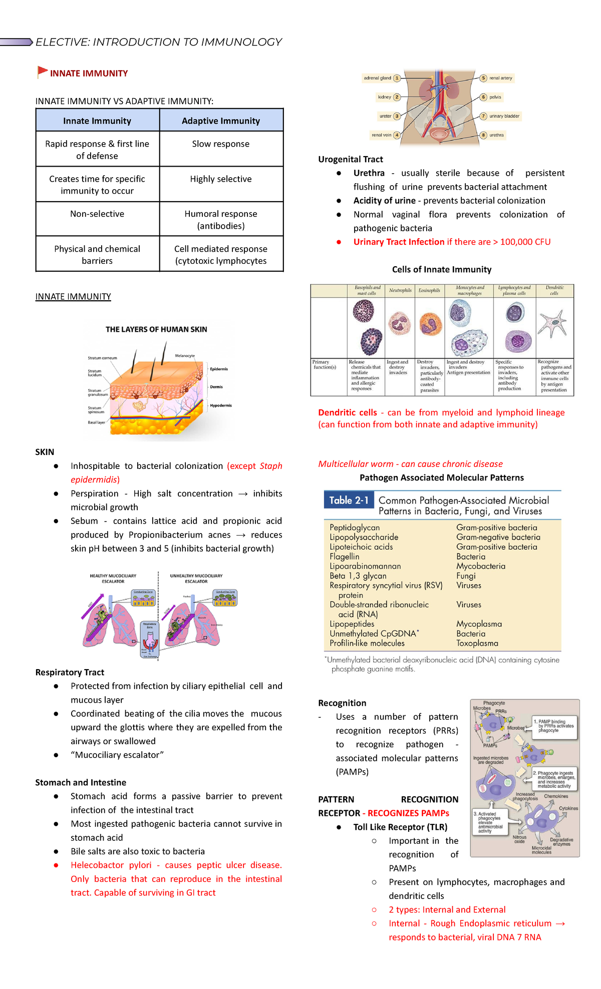 ELE IM - Innate Immunity - ELECTIVE: INTRODUCTION TO IMMUNOLOGY 🚩 ...