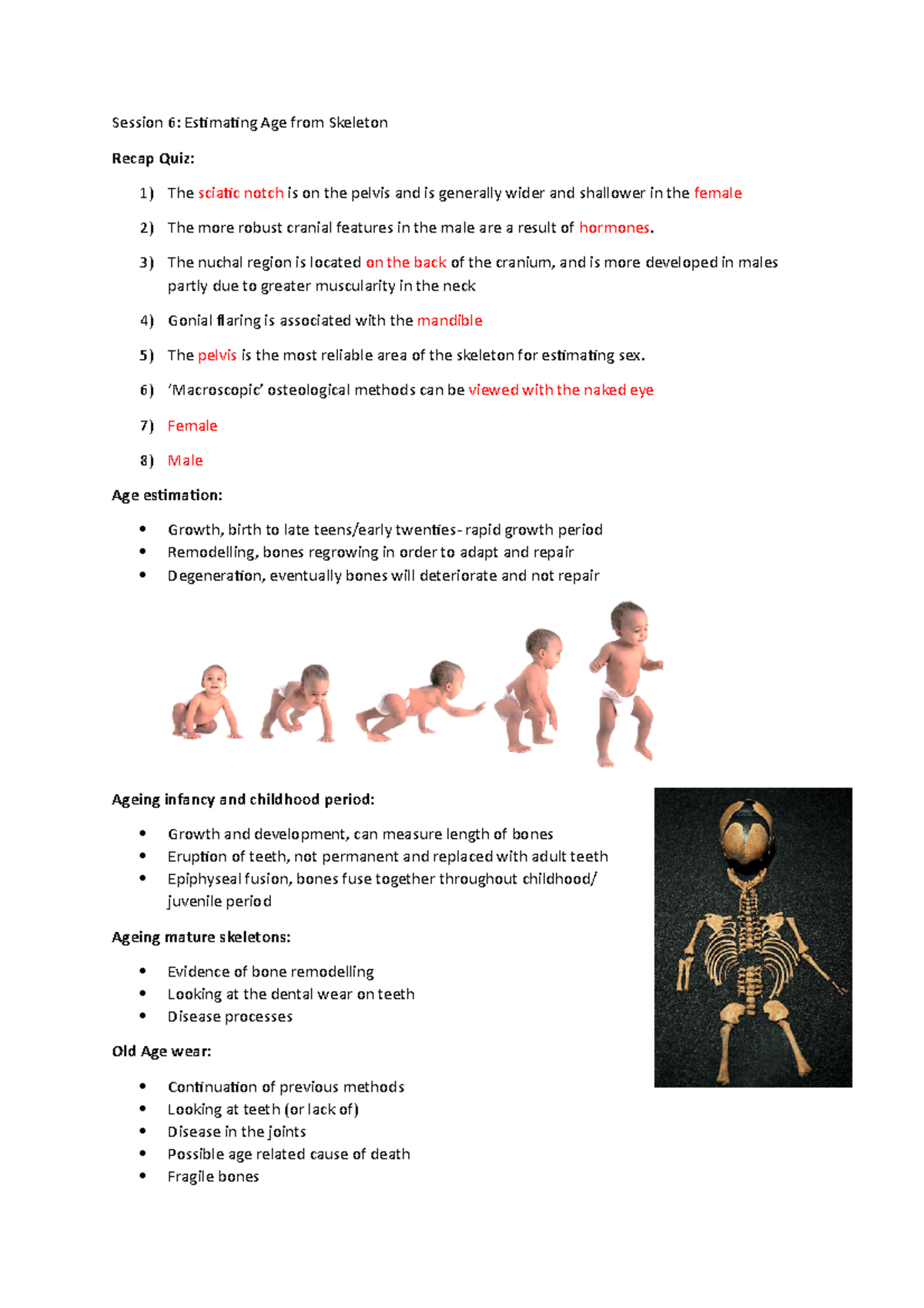 Session 6 - Lecture notes 6 - Session 6: Estimating Age from Skeleton ...