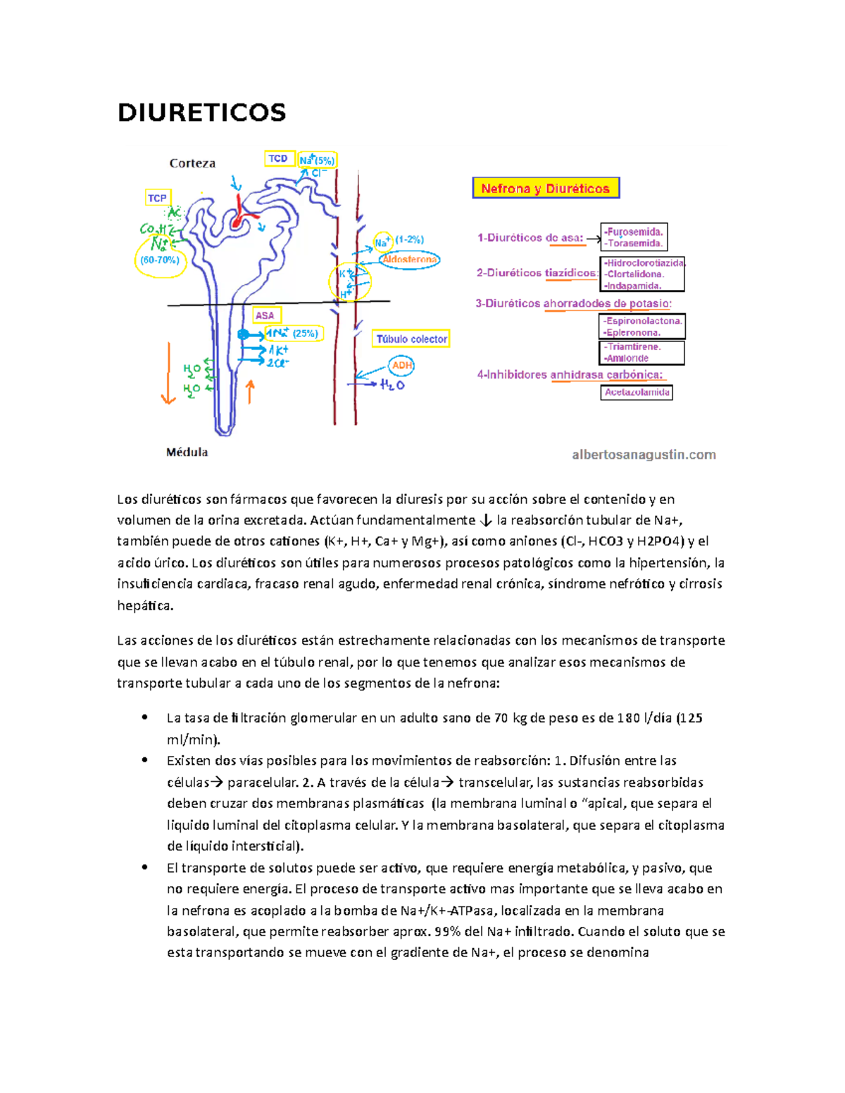 Diureticos - Resumen Farmacología - DIURETICOS Los diuréticos son ...