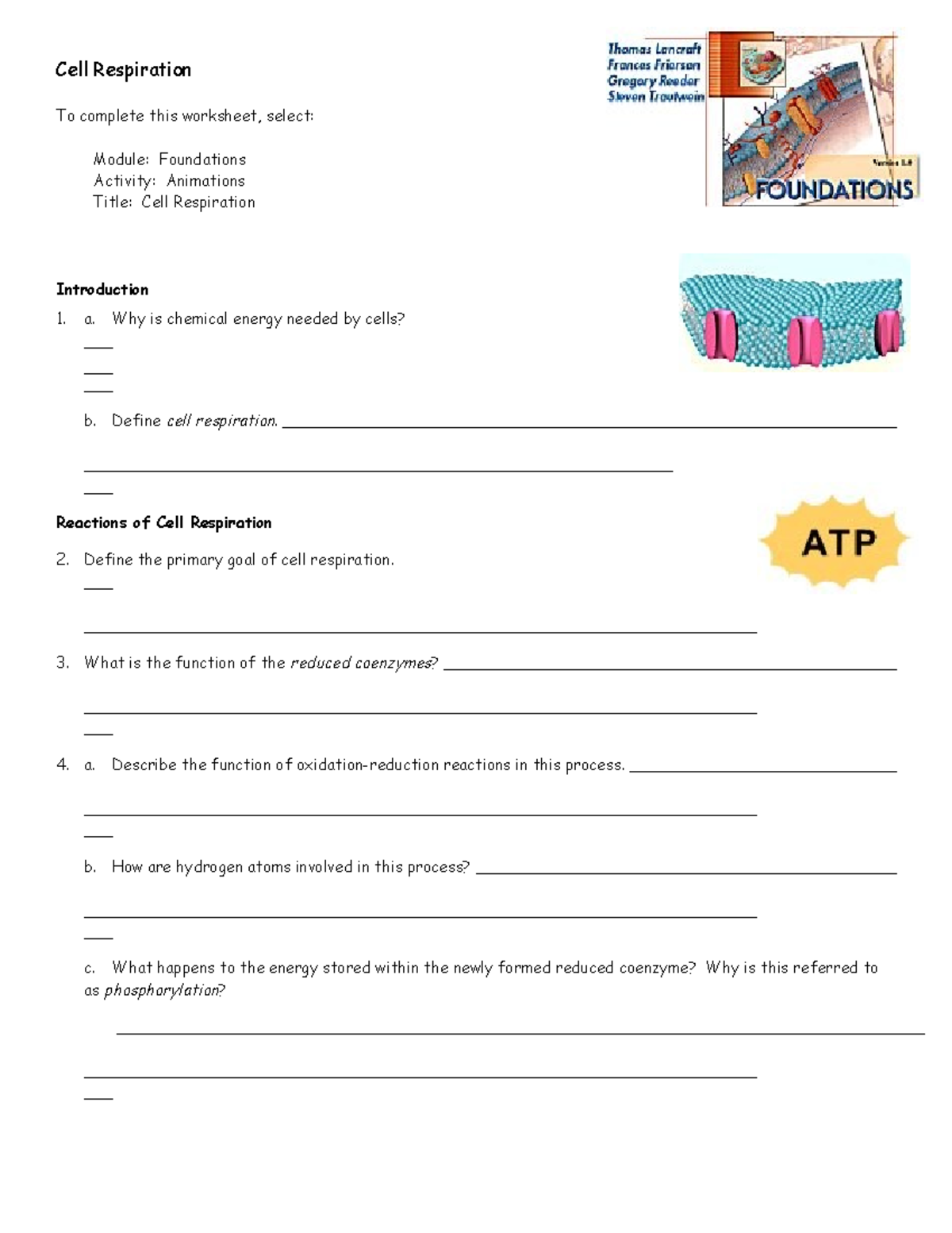 Anim cell respiration worksheet ch03 - Cell Respiration To complete ...