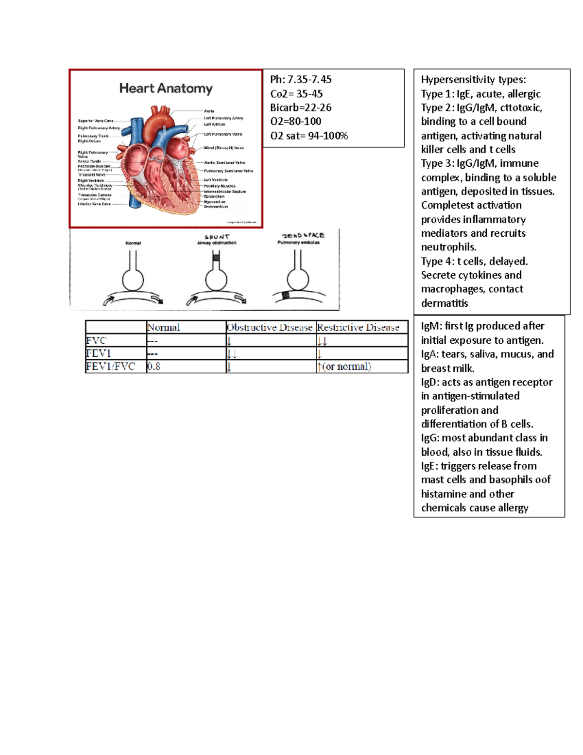 Exam 2 patho - study guide - = Hypersensitivity types: Type 1: IgE ...