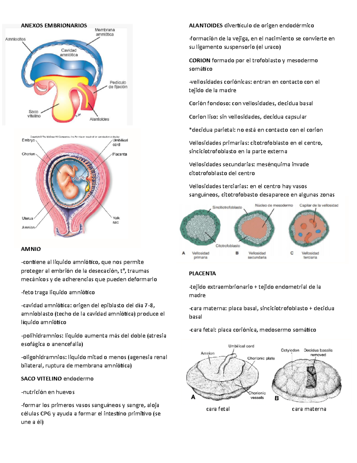 Resumen histo solemne 2 - ANEXOS EMBRIONARIOS AMNIO -contiene al ...