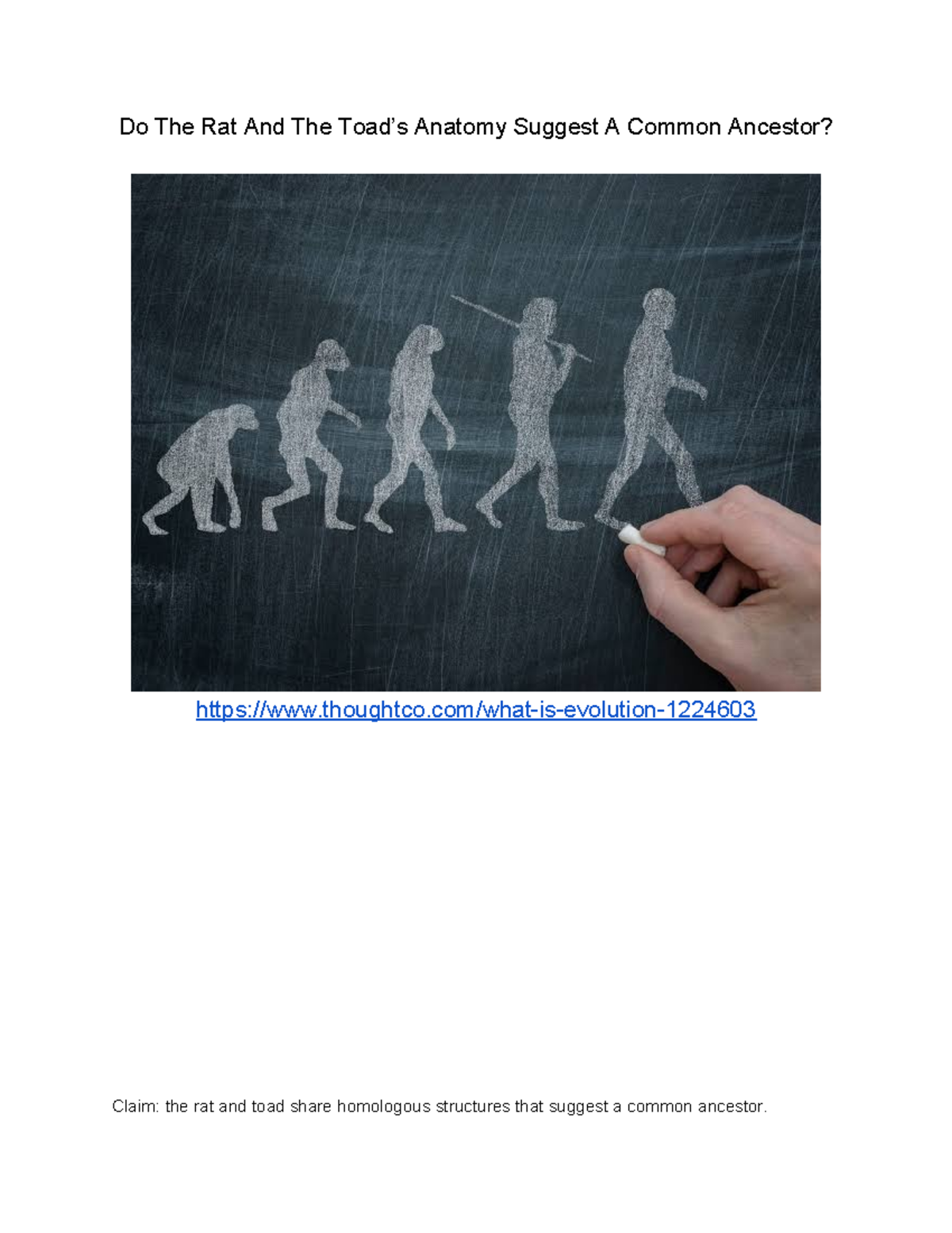 Bio 2021 - Common Ancestor - Rat and Toad - Do The Rat And The Toad’s ...