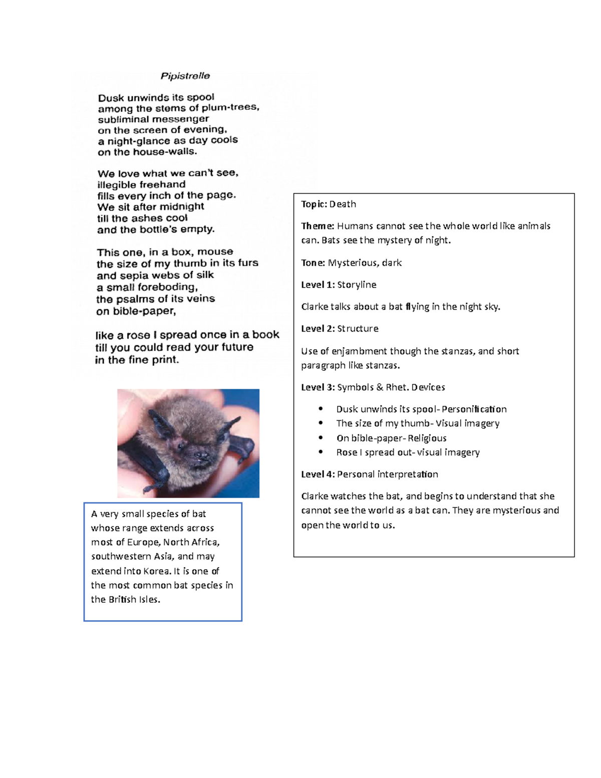Pipistrelle Gillan Clarke Poem Analysis - Topic: Death Theme: Humans ...
