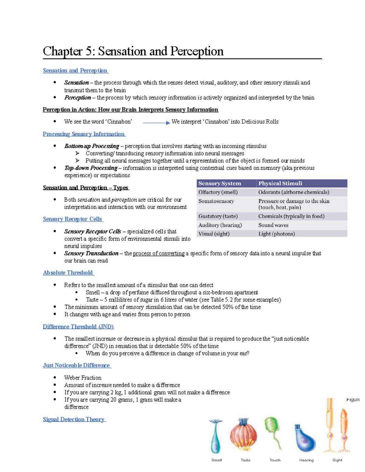 Chapter 5 - Sensation and Perception - Chapter 5: Sensation and ...