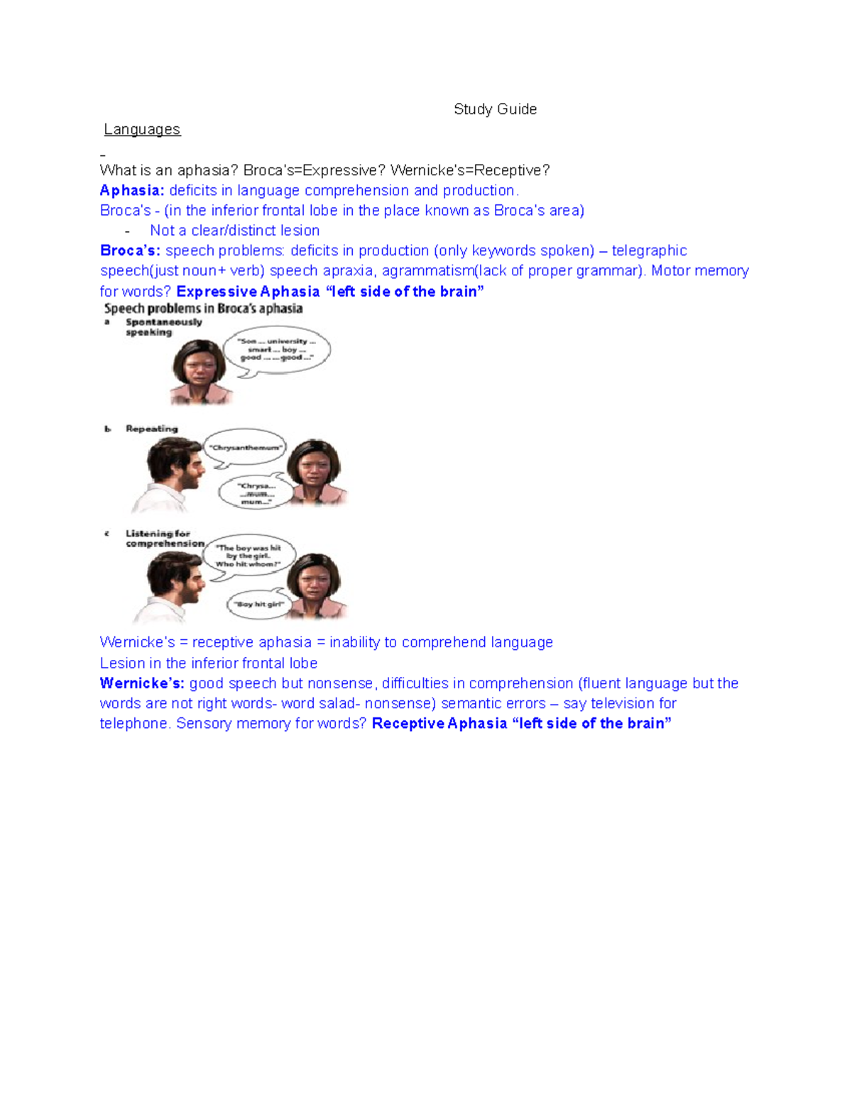Cognitive Neuroscience Study Guide 3 - Study Guide Languages What is an ...