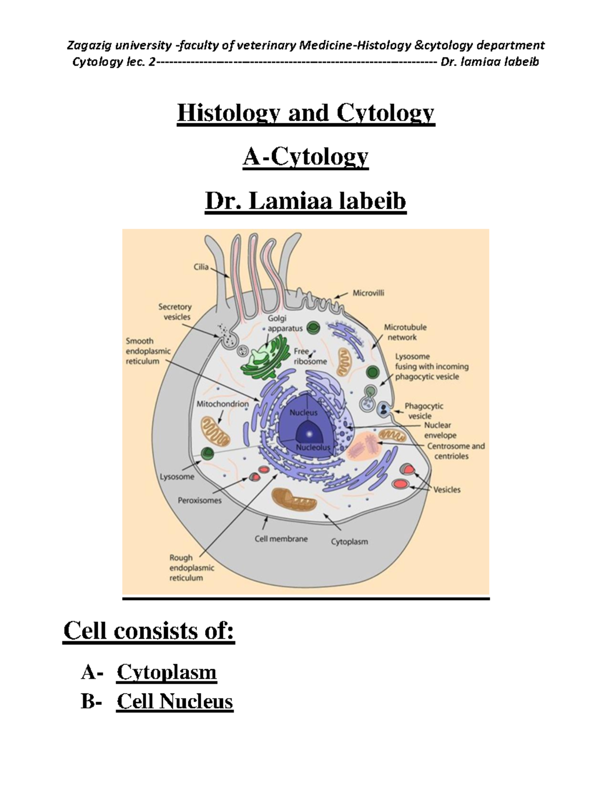 The second lecture 2 Cytology for the first academic year first term ...