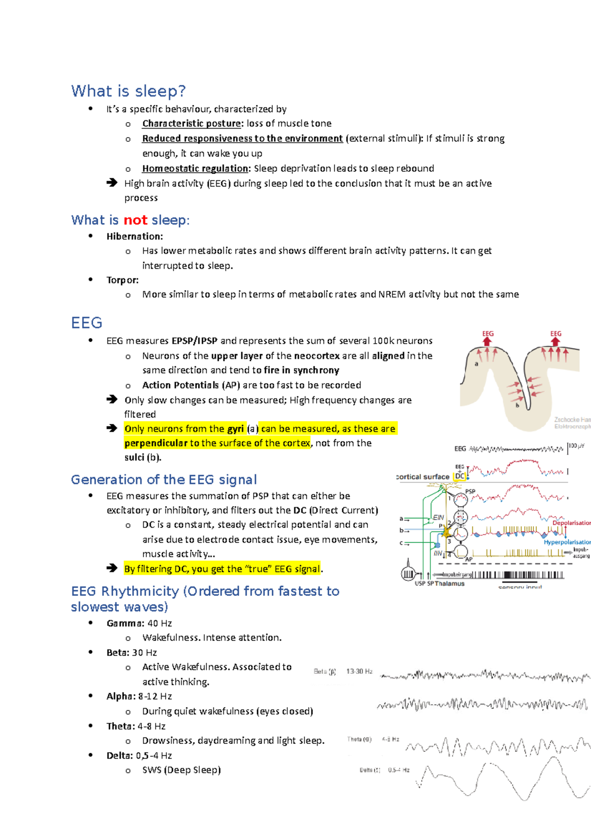 Summary Sleep - sose 23 - What is sleep? It’s a specific behaviour ...