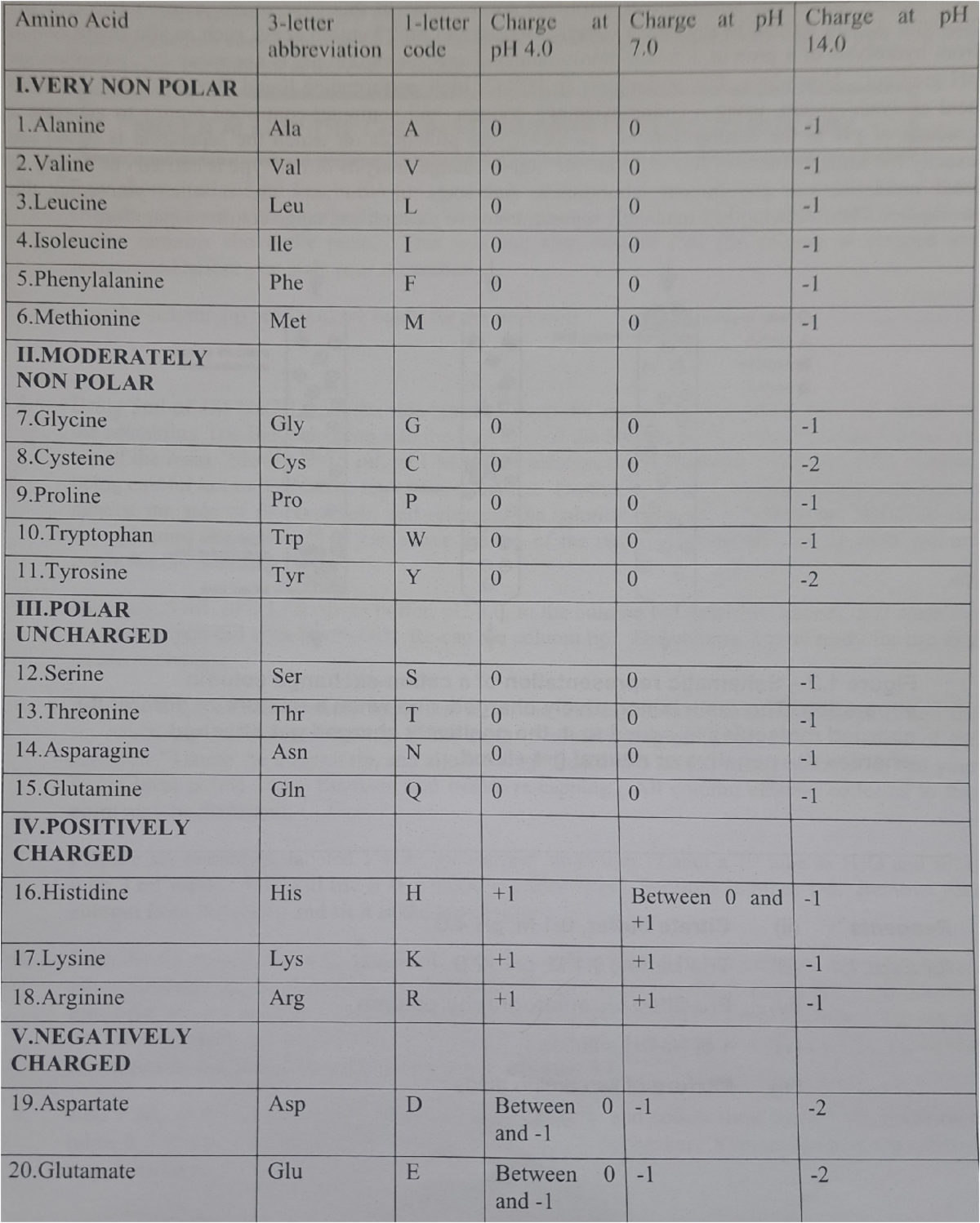 Amino Acid Properties - Amino Acid Charge at Charge at pH Charge at pH ...