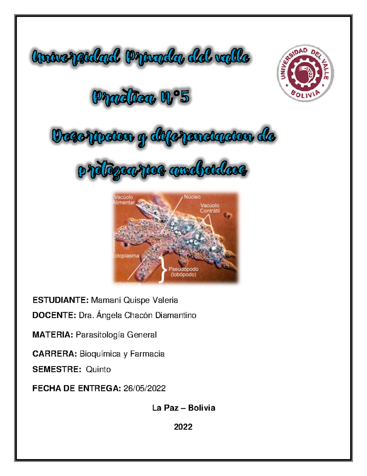 Descripción Y Diferenciación DE Protozoarios Ameboideos - ESTUDIANTE ...