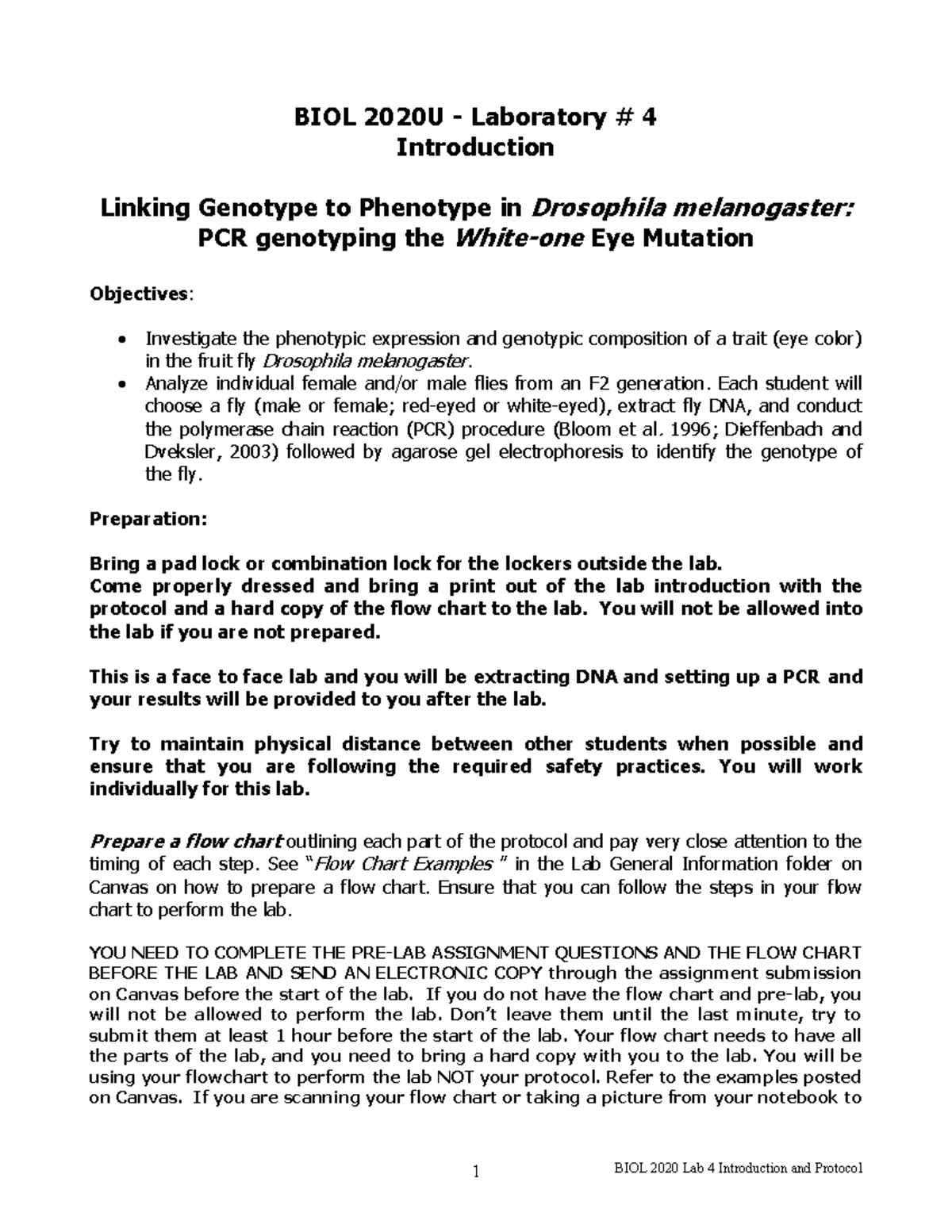 Lab 4 Biol 2020U Introduction and Protocol 2022 - BIOL 2020U ...