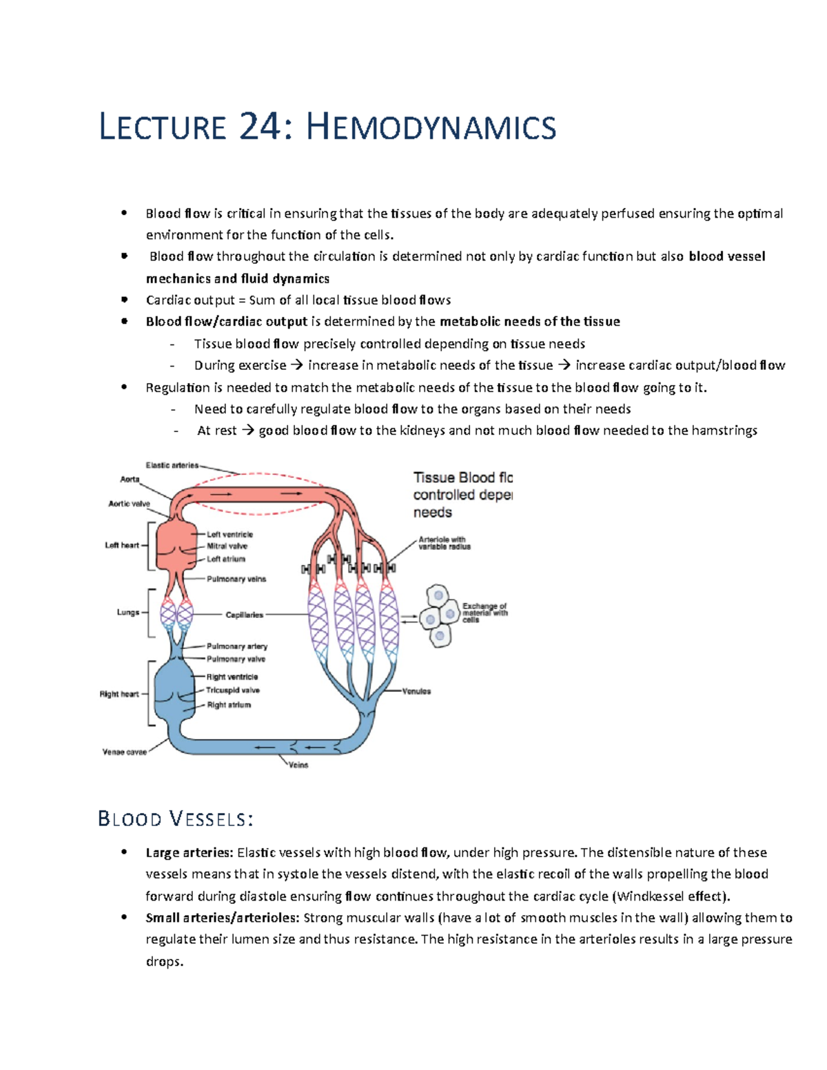 Lecture 24- Haemodynamics - LECTURE 24: HEMODYNAMICS Blood flow is ...