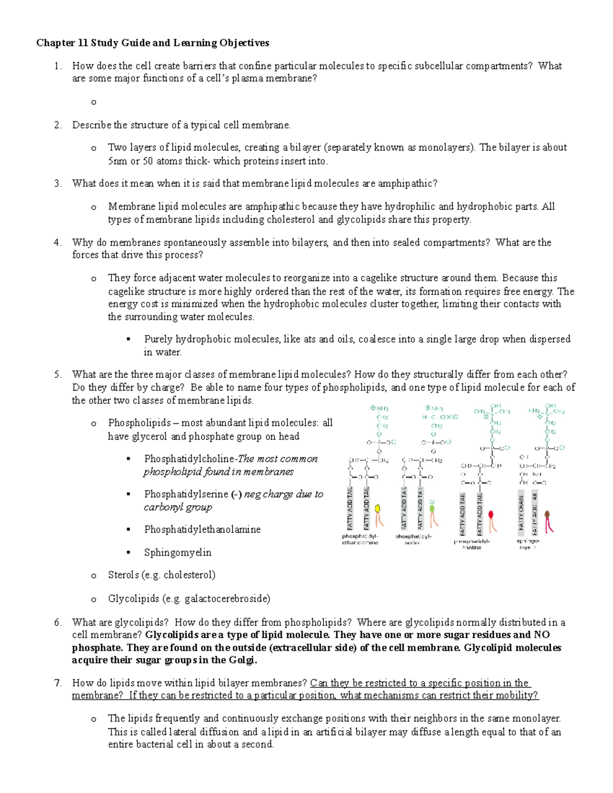Bio 214 chpt 11 study guide - Chapter 11 Study Guide and Learning ...