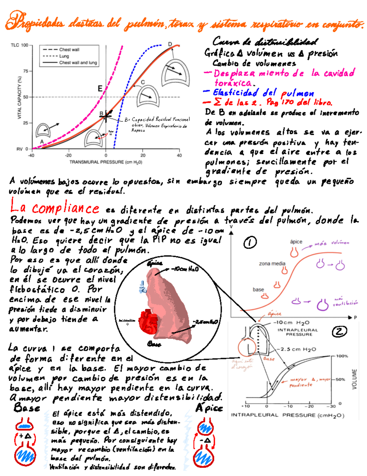 Biofísica de la respiración - Warning: Error during font loading: XMLHttpRequest is not defined ...