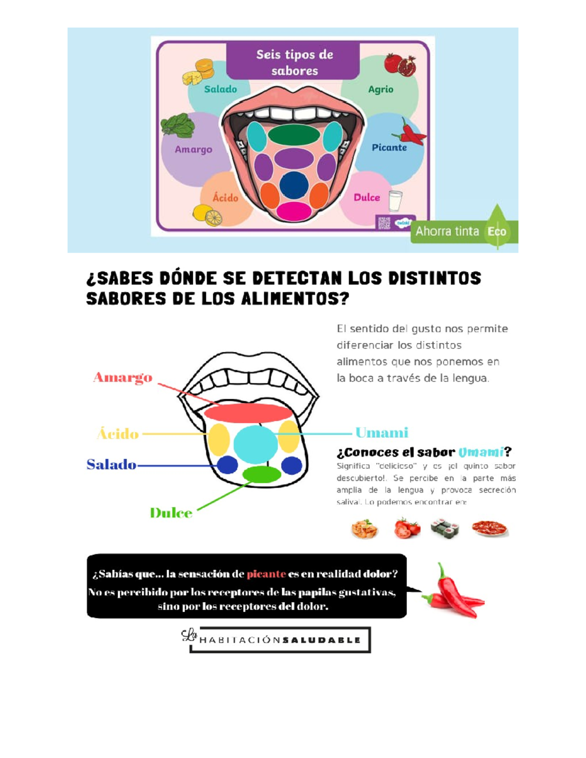 Bioquímica- Imagen de Lengua - Seis tipos de sabores Salado Agrio ...