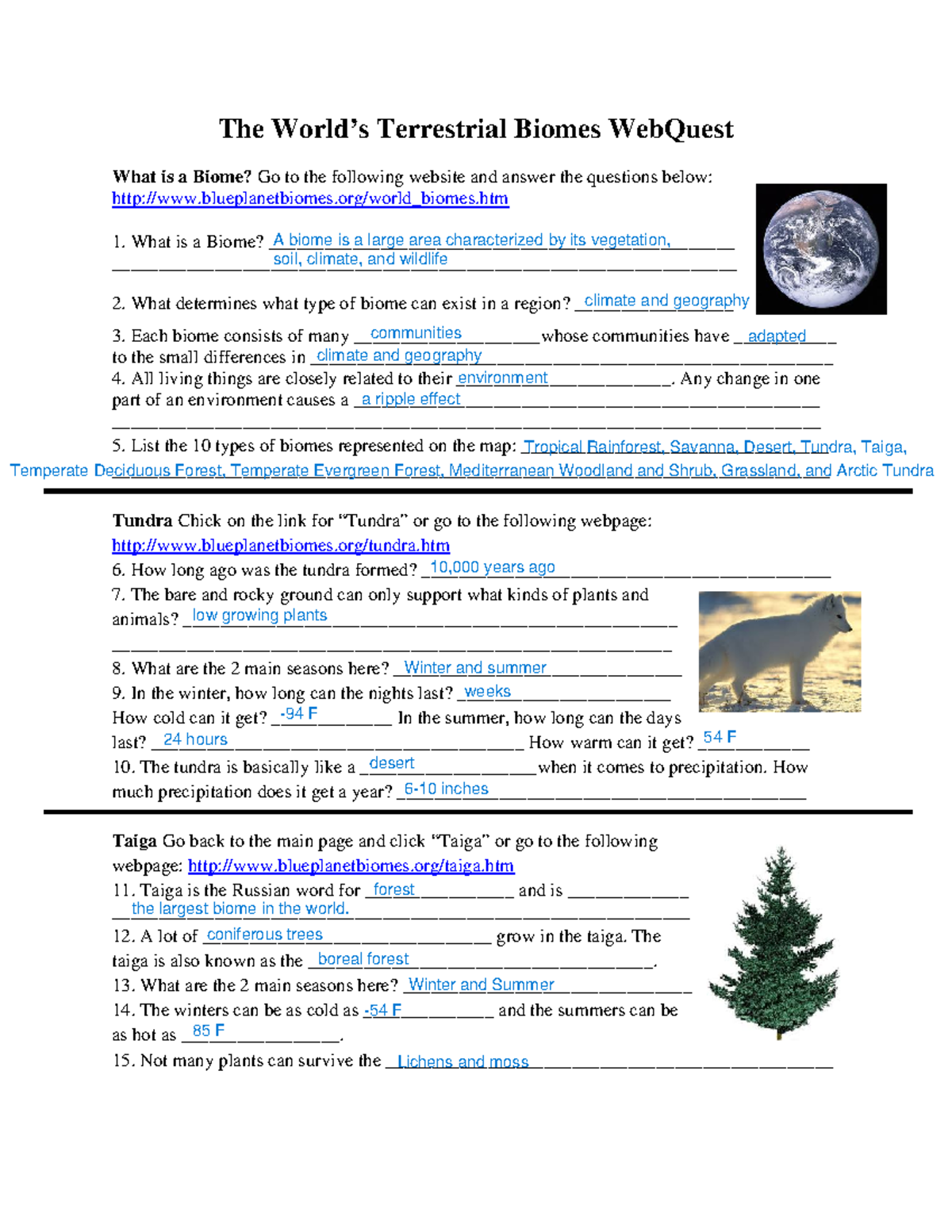 The World’s Terrestrial Biomes Web Quest - The World’s Terrestrial ...