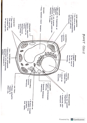 BIO462 EXP 6 - lab 6 - BIO BIOCHEMISTRY LAB REPORT 6 : QUALITATIVE TEST ...