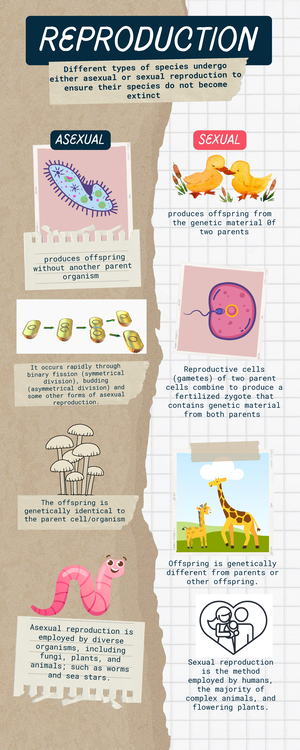 Yosso (2005 ). Whose culture has capital - Full Terms & Conditions of ...