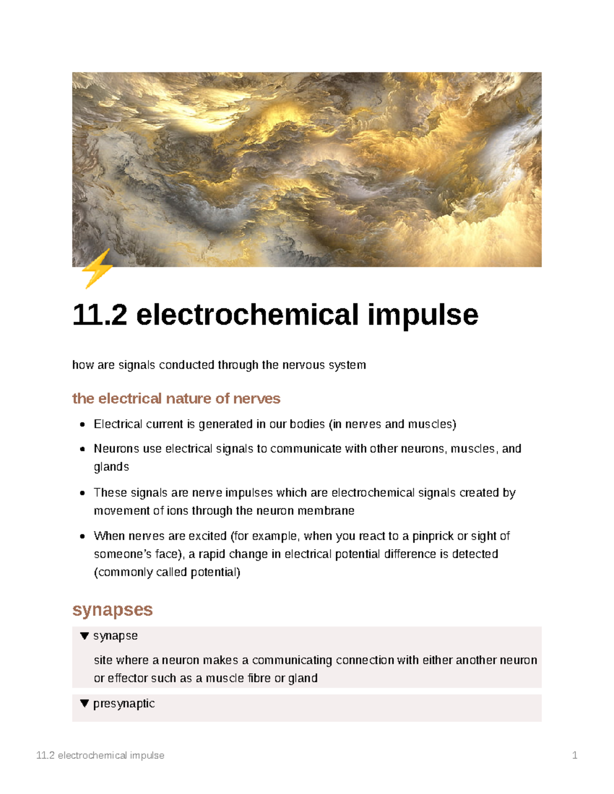 chapter 11.2 electrochemical impulse - ⚡ 11 electrochemical impulse how ...