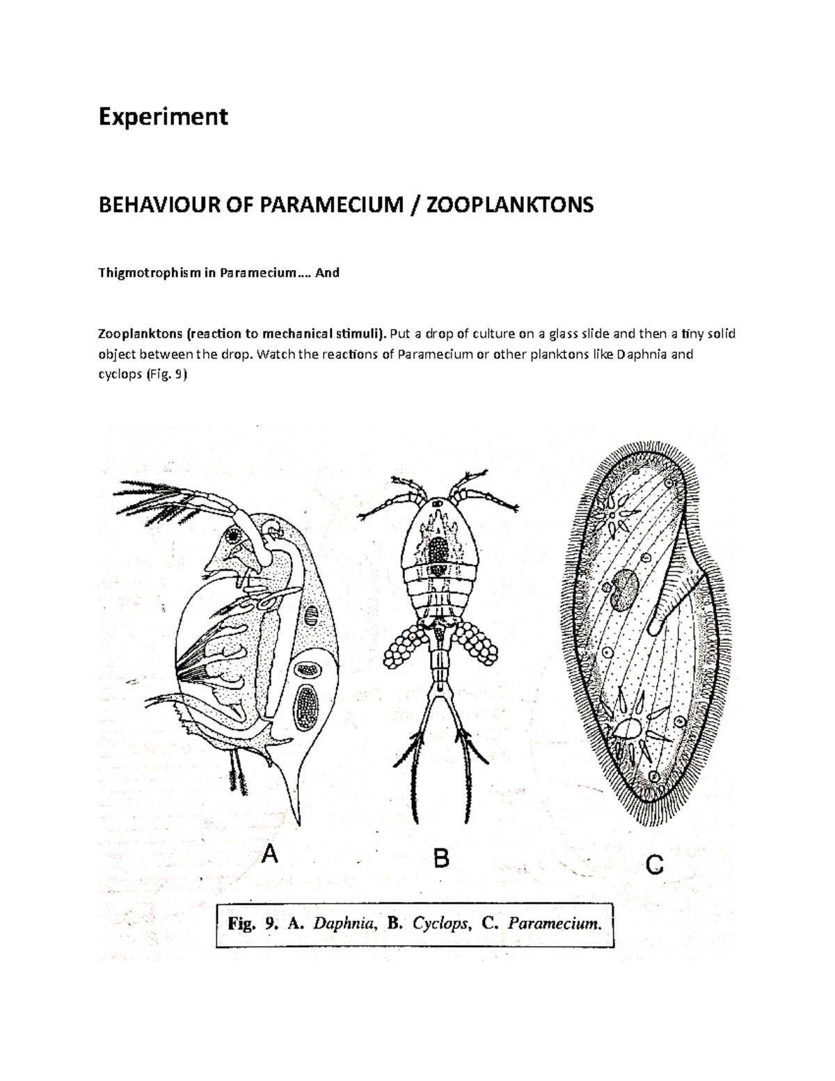Behaviour of Paramecium - Experiment BEHAVIOUR OF PARAMECIUM ...