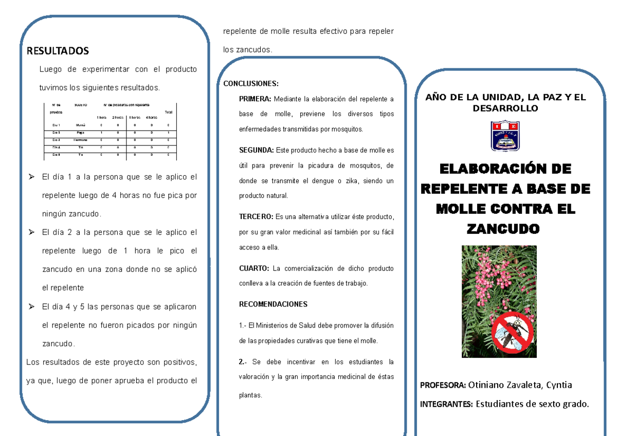 Triptico de molle - RESULTADOS ####### Luego de experimentar con el producto ####### tuvimos los ...