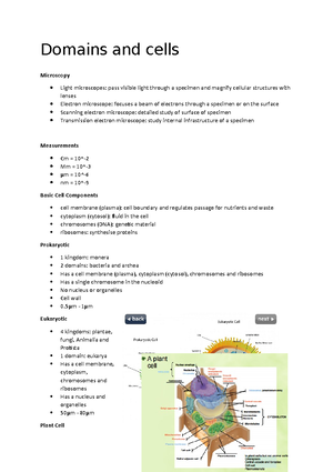 Animal Form and Function - Biological Systems Animal Form and Function ...