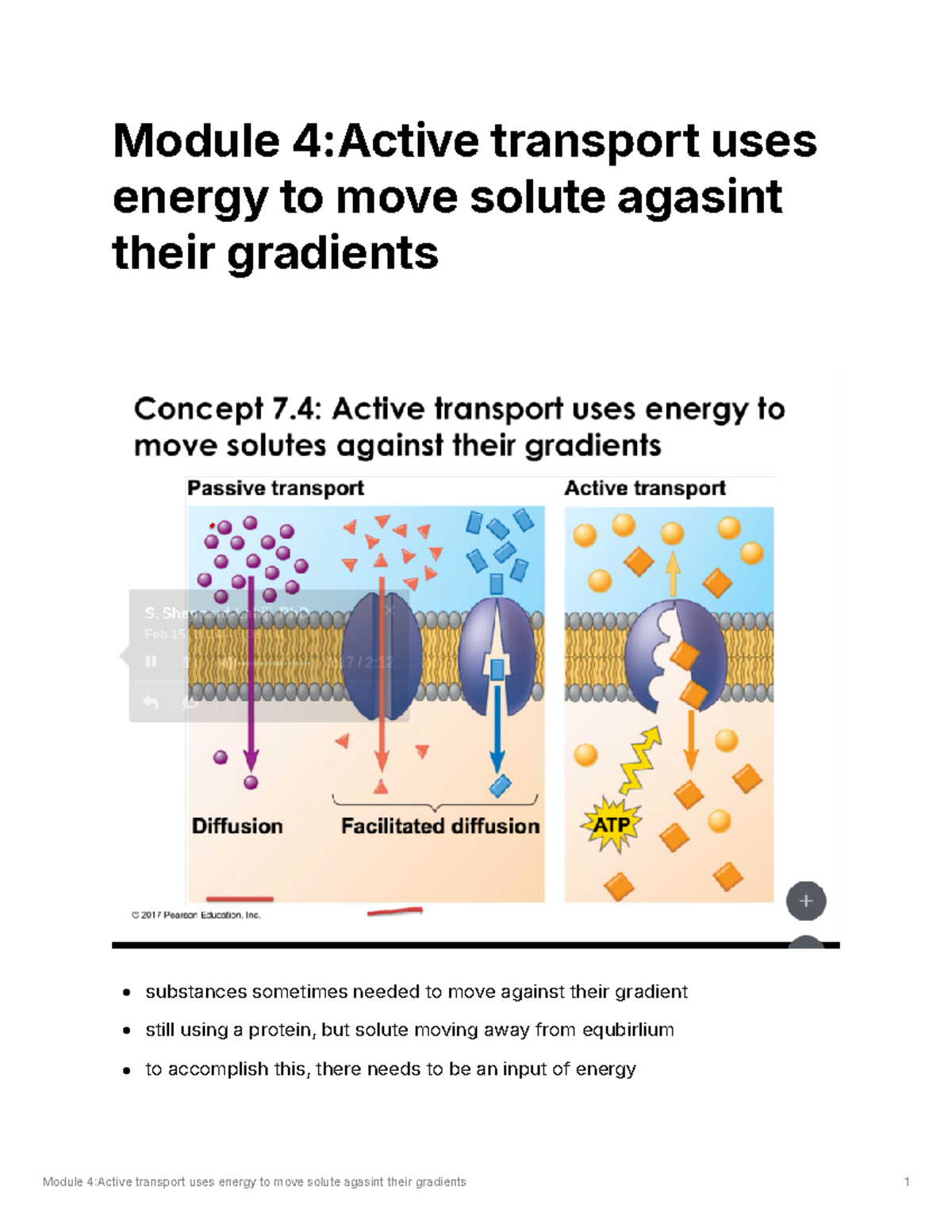 Chapter 7, Module 4: Active transport uses energy to move solute ...