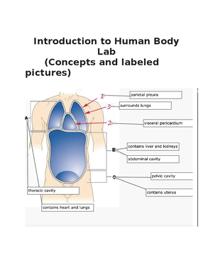 Cell and Transport Mechanisms Lab - Cell and Transport Mechanisms Lab ...