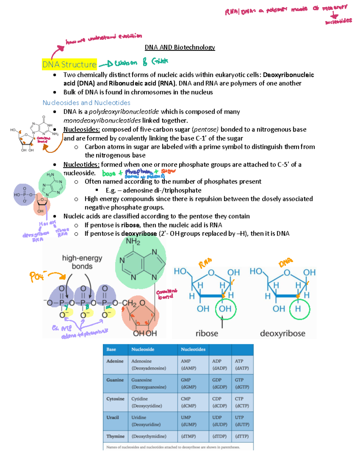 Copy of 6-DNA AND Biotechnology - DNA AND Biotechnology DNA Structure x ...