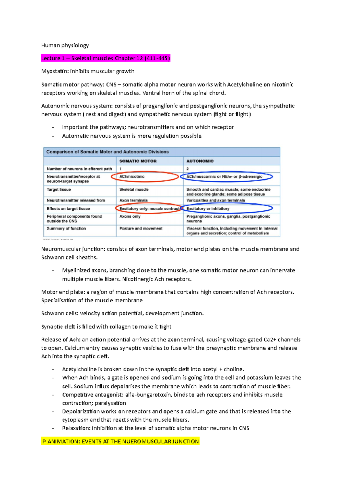 Human physiology lectures notes - Human physiology Lecture 1 – Skeletal ...