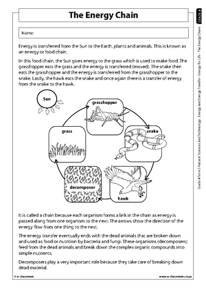 Grade 5 History notes Term 2 - History Topic: The first farmers in ...
