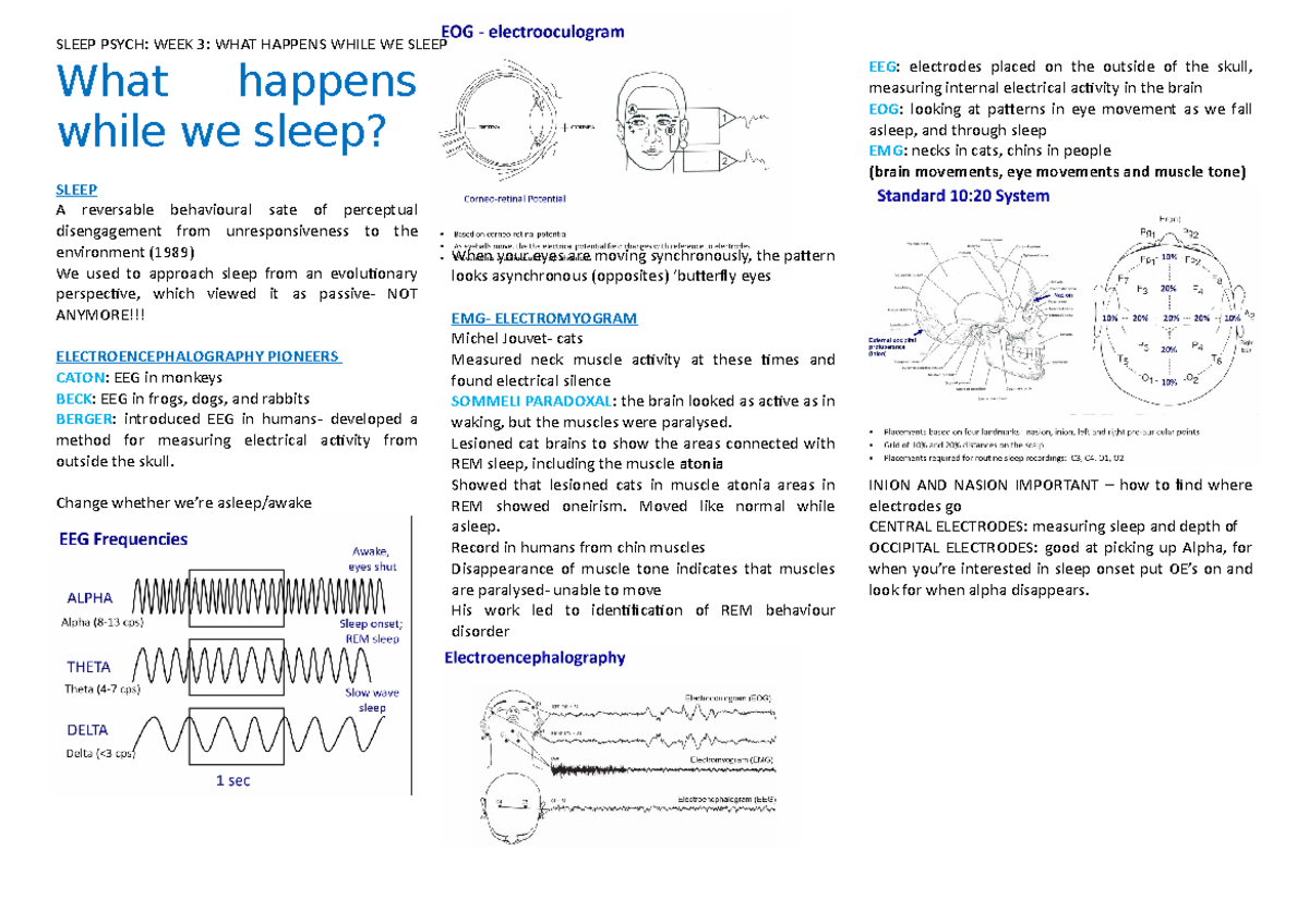 Week 3 -What happens while we sleep - What happens while we sleep ...