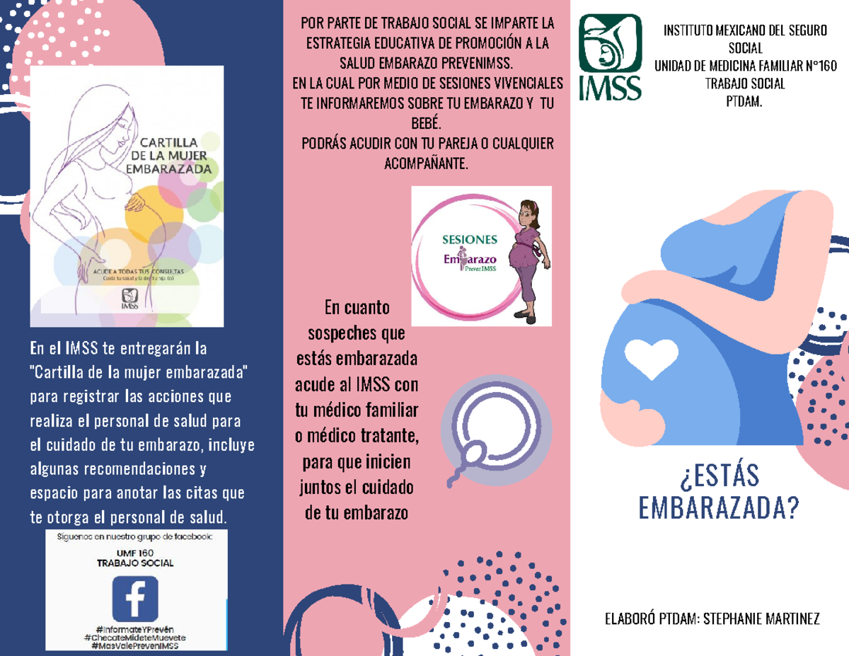Control DE Embarazo - En el IMSS te entregarán la "Cartilla de la mujer ...