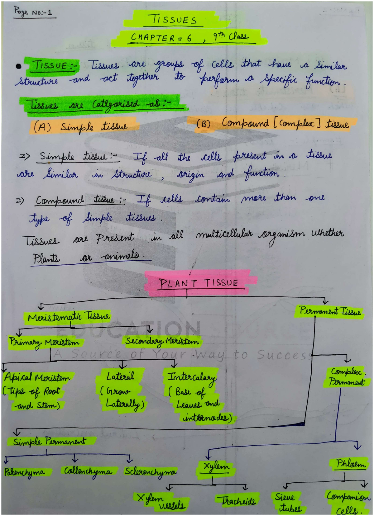 Chapter-9-tissues compressed - Page 1 TISSUES CHAPTER 6 , 9th Class ...
