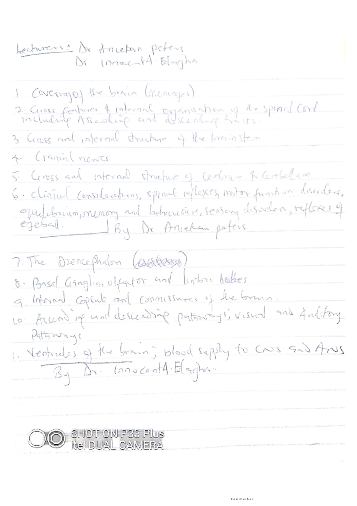 Neuroanatomy note - Gross Anatomy of the Head and Neck - Studocu