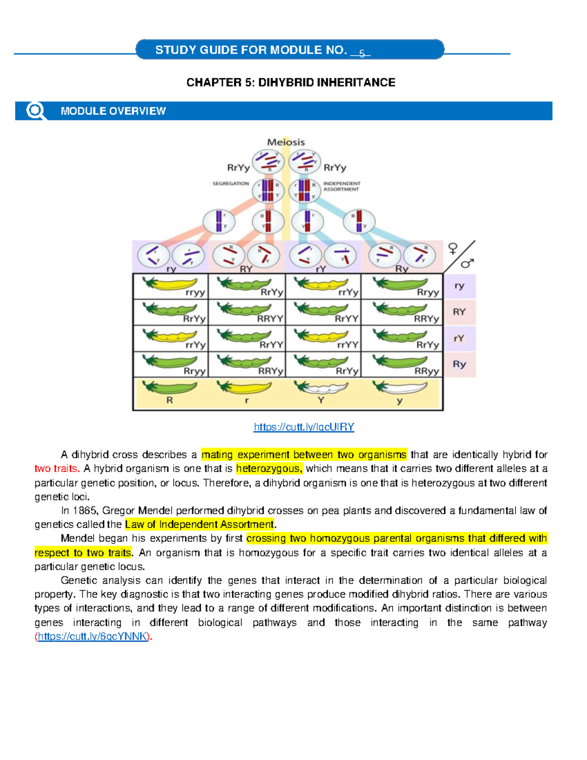 Study Guide 5 - Dihybrid Inheritance - STUDY GUIDE FOR MODULE NO. ___ 5 CHAPTER 5: DIHYBRID ...