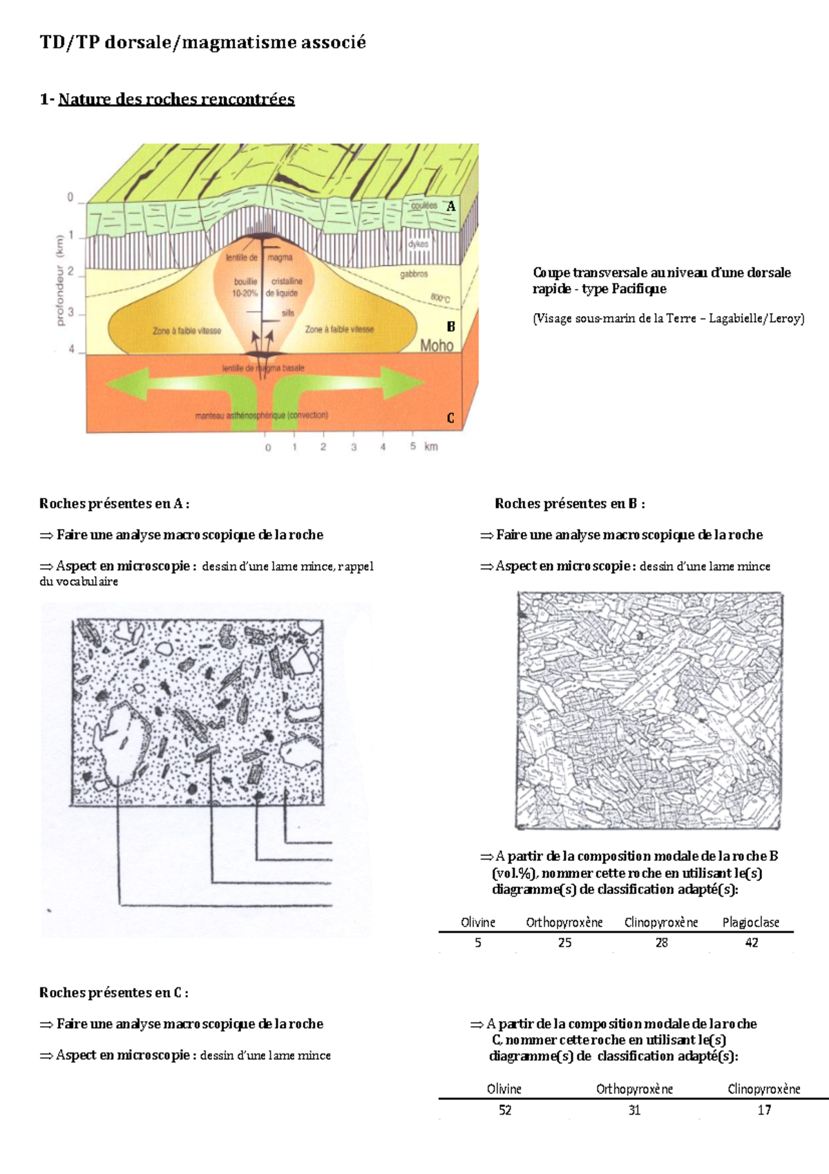 Minéralogie: Zone de divergence - poly - TD/TP dorsale/magmatisme associé 1- Nature des roches ...