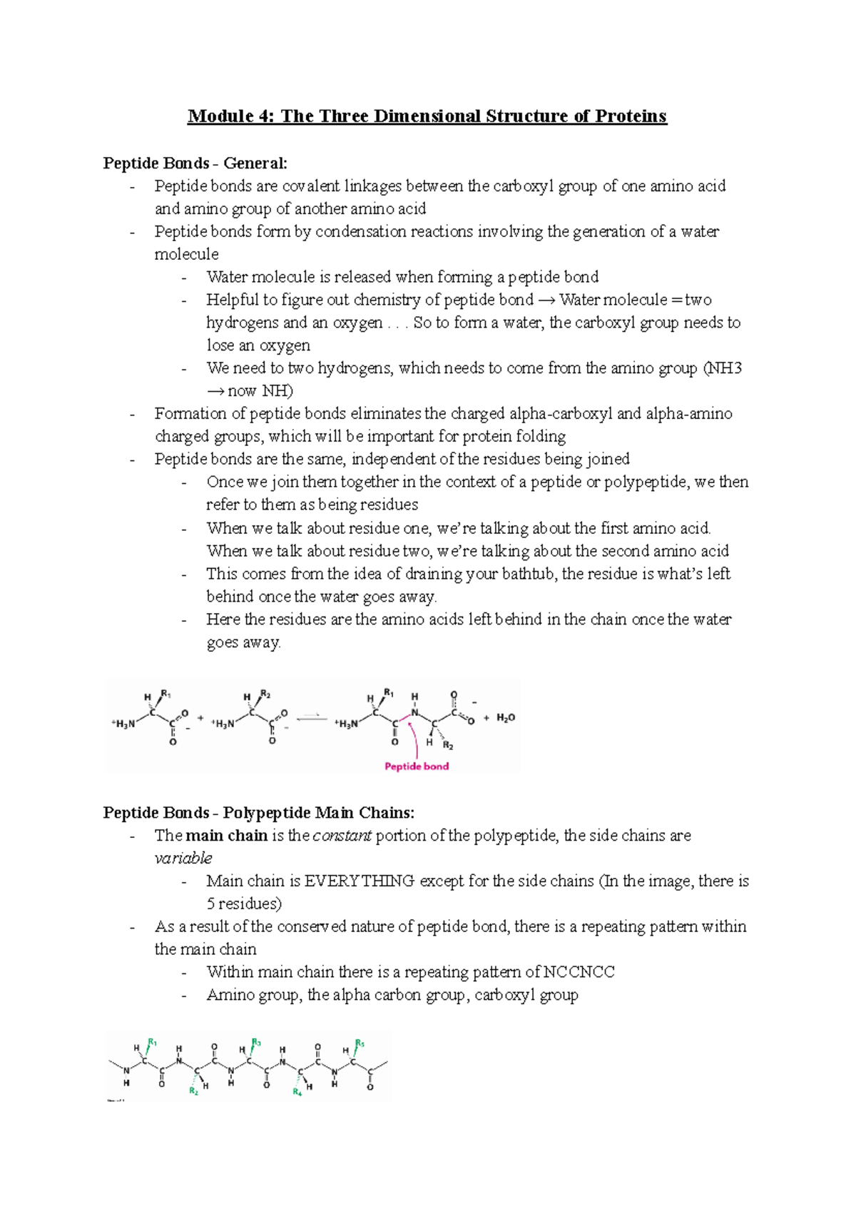 Module 4 Lecture Notes Module 4 The Three Dimensional Structure Of Proteins Peptide Bonds