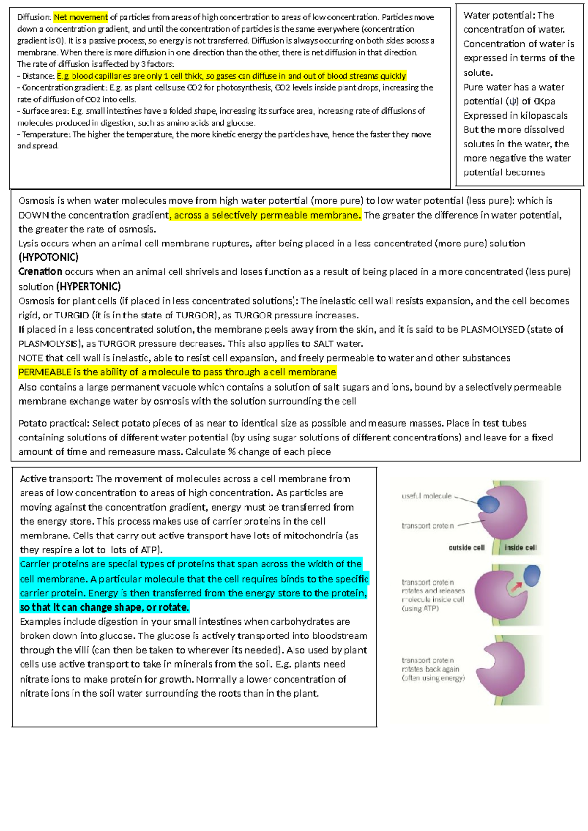 B2.1 Supplying the cell - Diffusion: Net movement of particles from ...