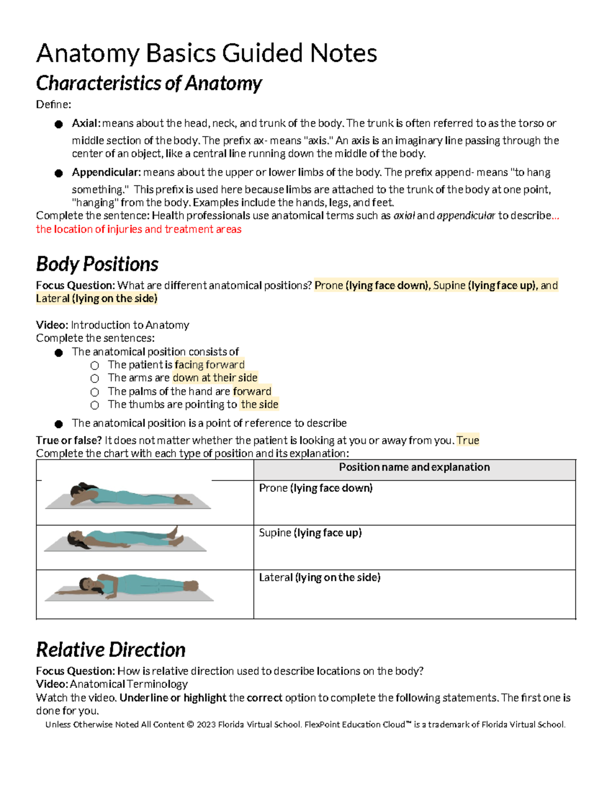 1.2 Anatomy Basics Guided Notes - Anatomy Basics Guided Notes ...