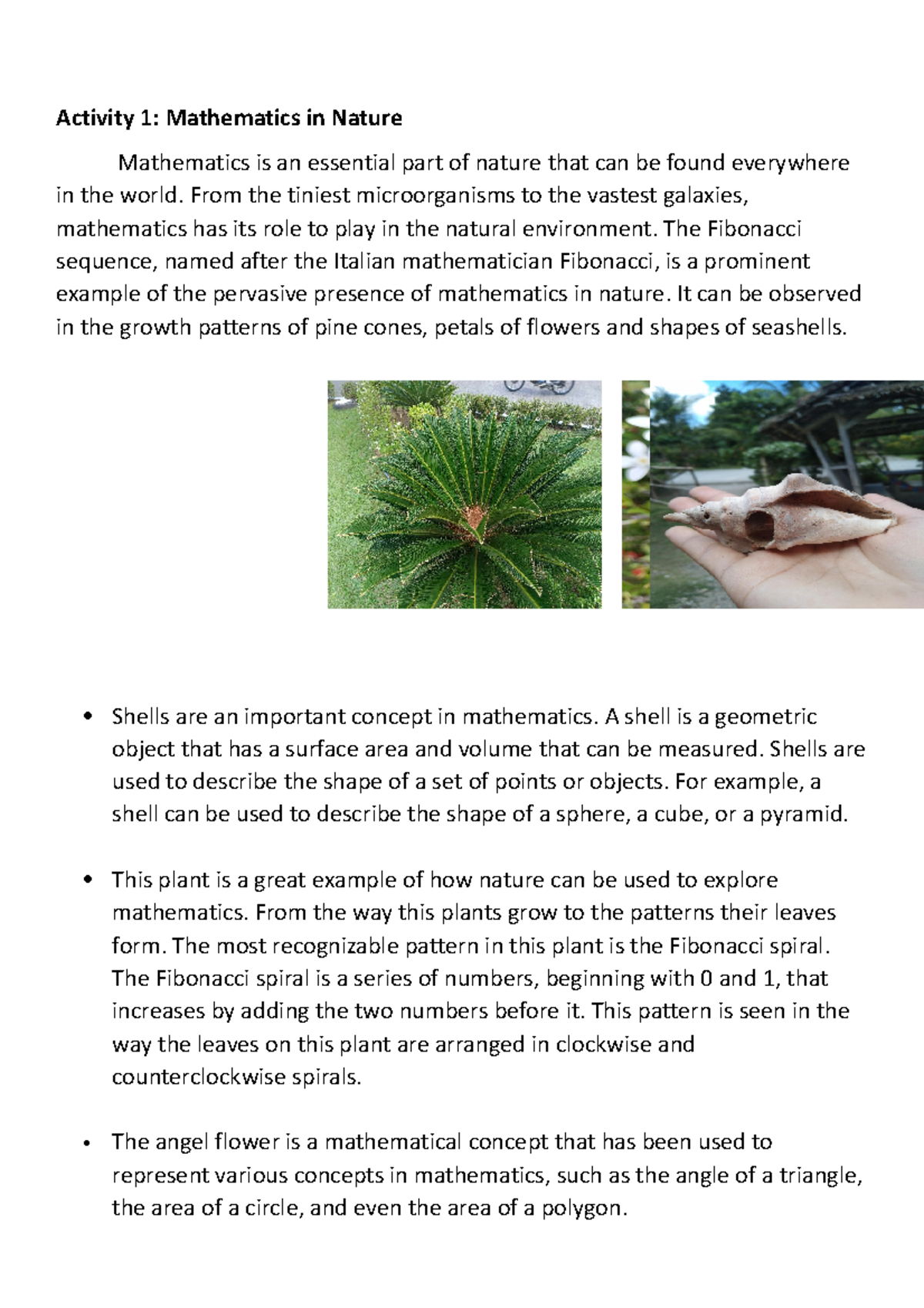 Mathematics - Good luck!! - Activity 1: Mathematics in Nature ...