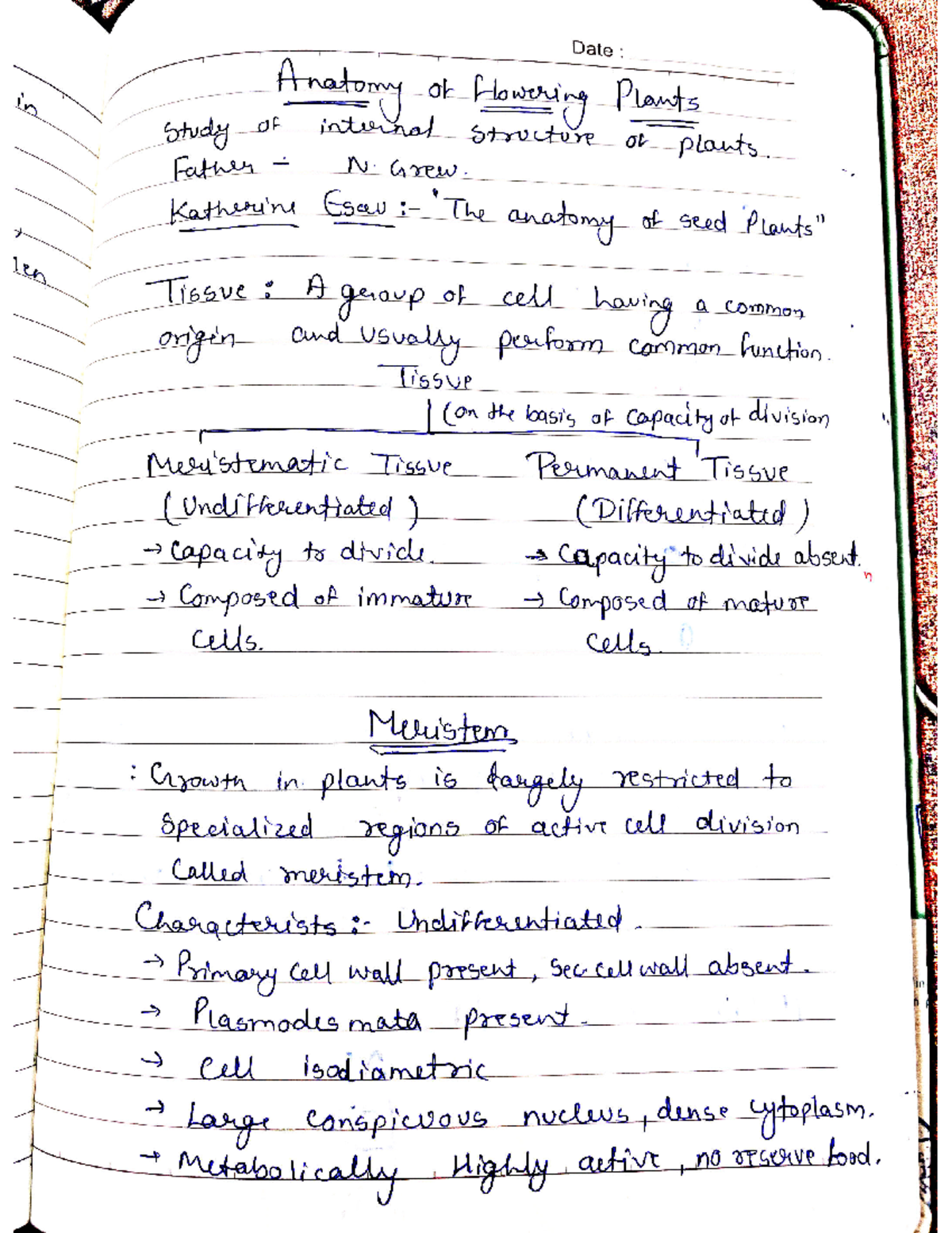 Anatomy of flowering plants class 11th notes - NEET - Studocu