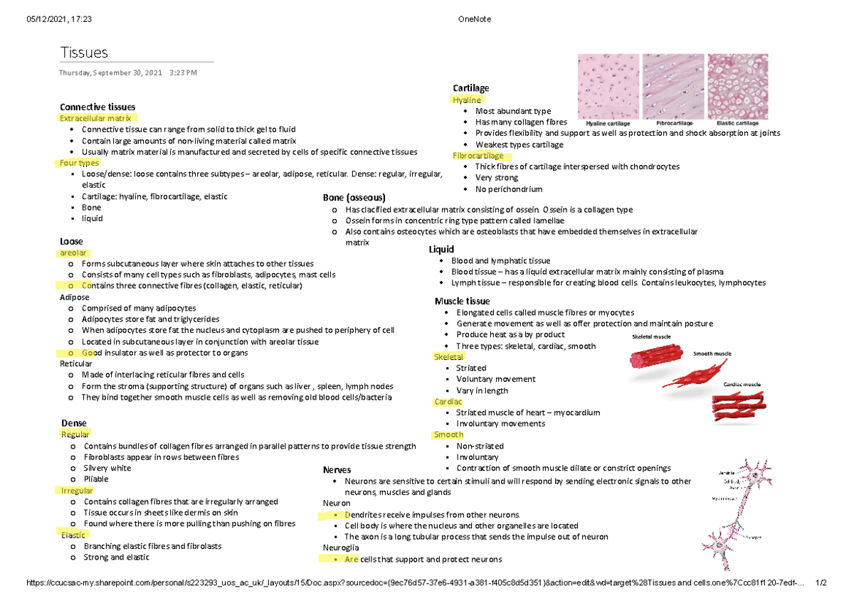 Introduction to Tissues (Part 2/2) - 05/12/2021, 17:23 OneNote - Studocu