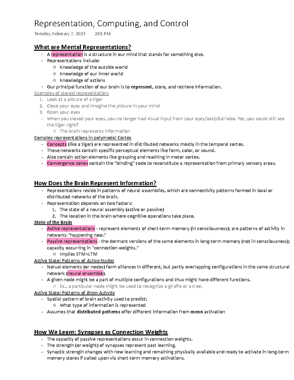 Representation Computing and Control - What are Mental Representations ...