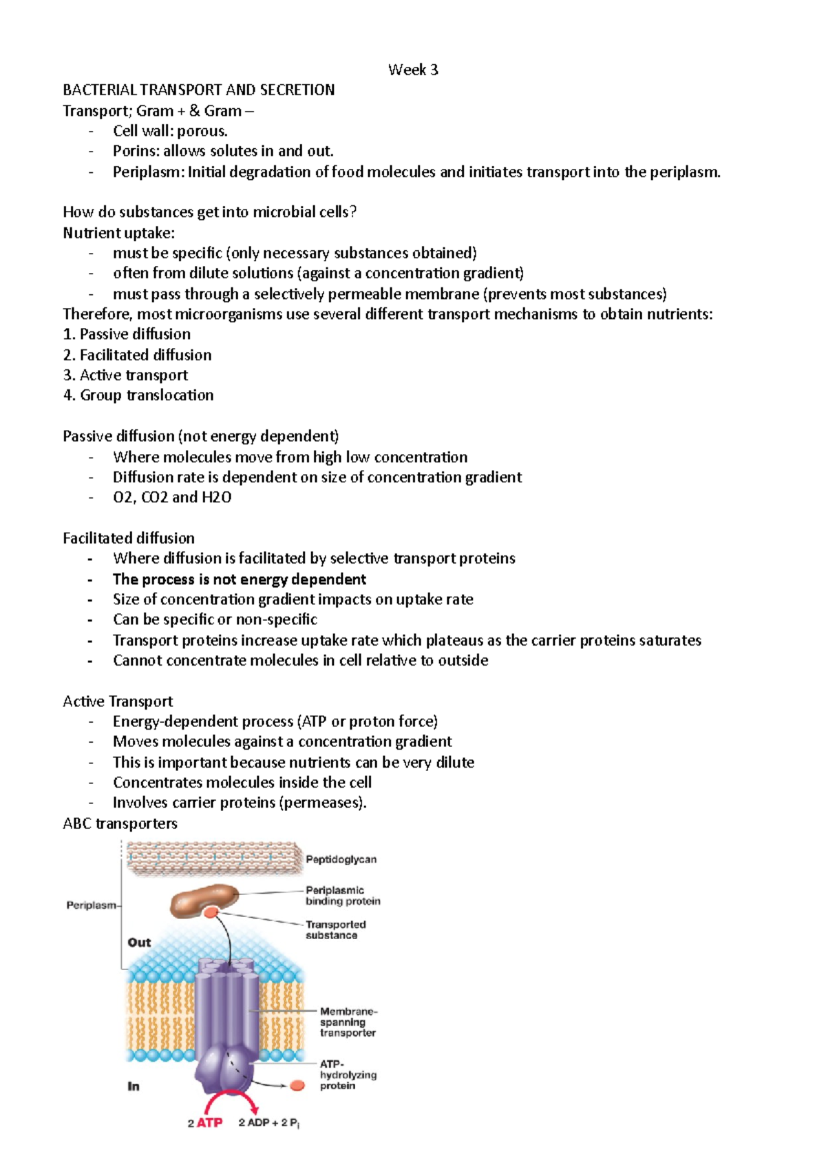 Week 3 - week3 - Week 3 BACTERIAL TRANSPORT AND SECRETION Transport ...