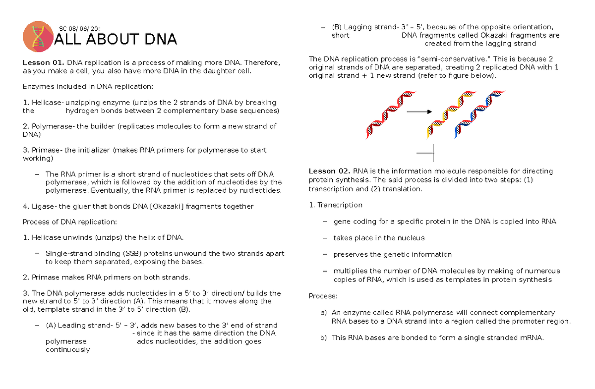 All About DNA - Additional BASIC information and fundamentals on DNA ...