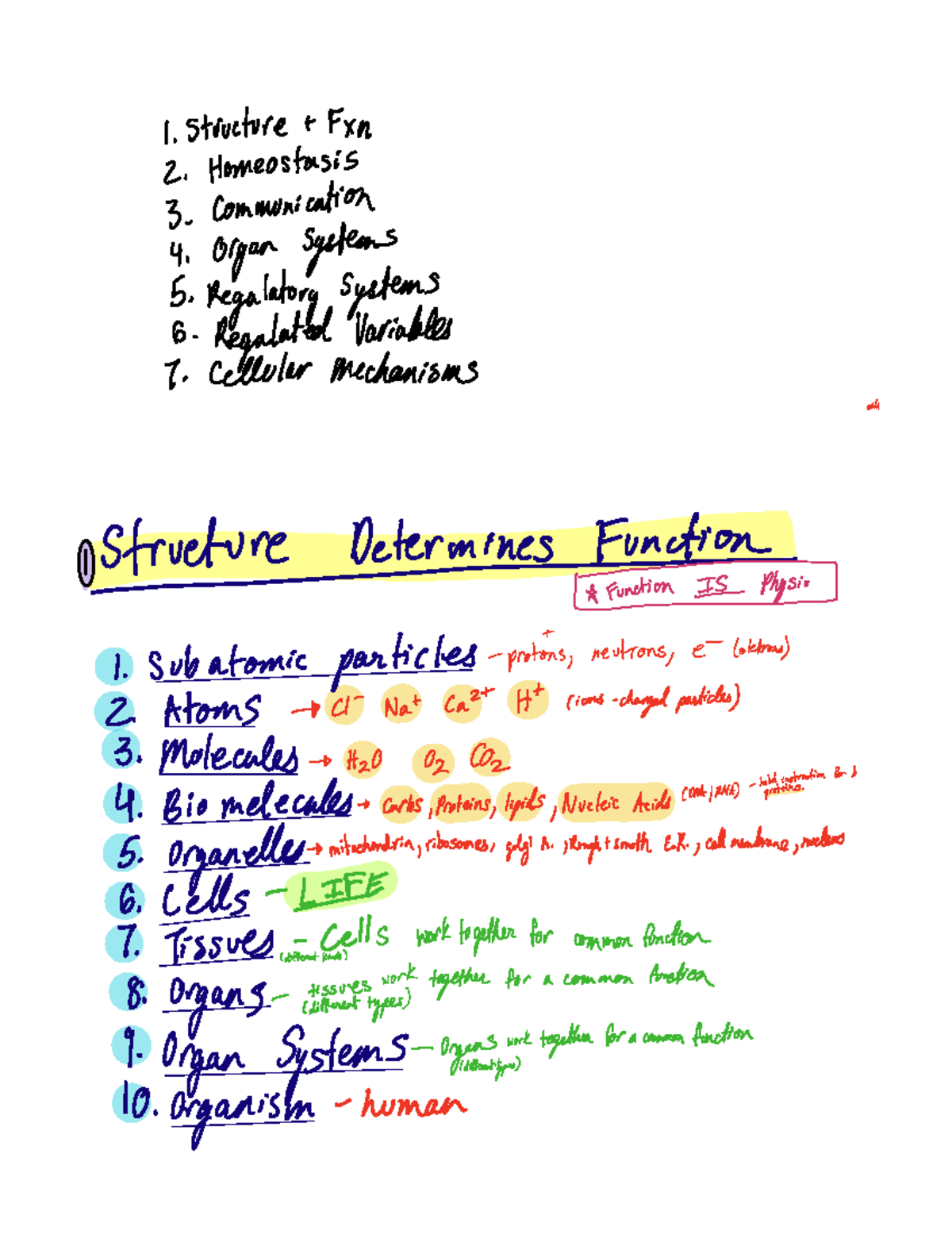 1. Homeostasis - Drawing and notes for the first 3 chapters of the ...